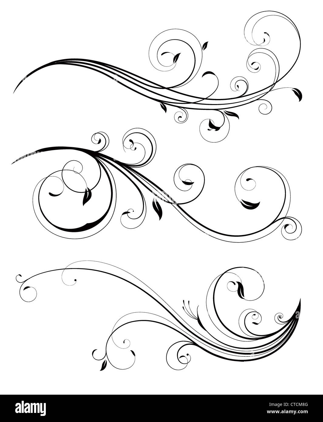 Vector set of swirling flourishes decorative floral elements Stock ...