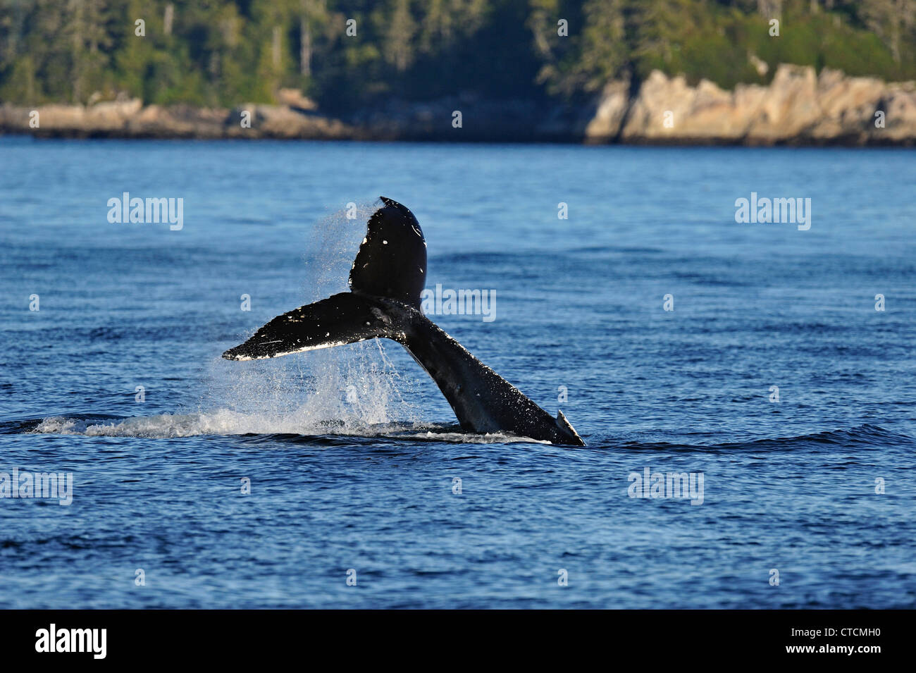 Slapping Water High Resolution Stock Photography and Images - Alamy