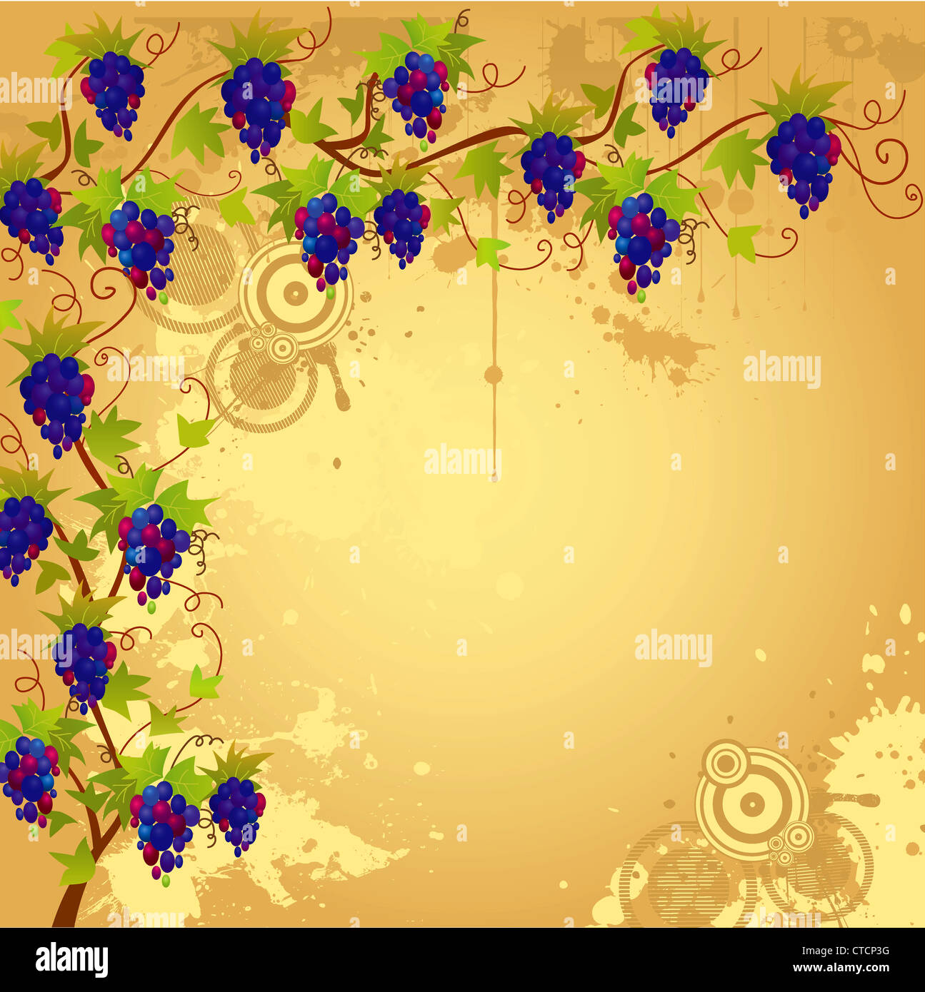 Grapevine border hi-res stock photography and images - Alamy