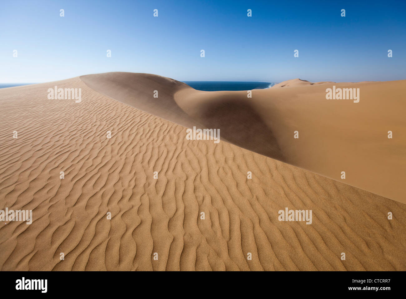 Namib desert adventure hi-res stock photography and images - Alamy