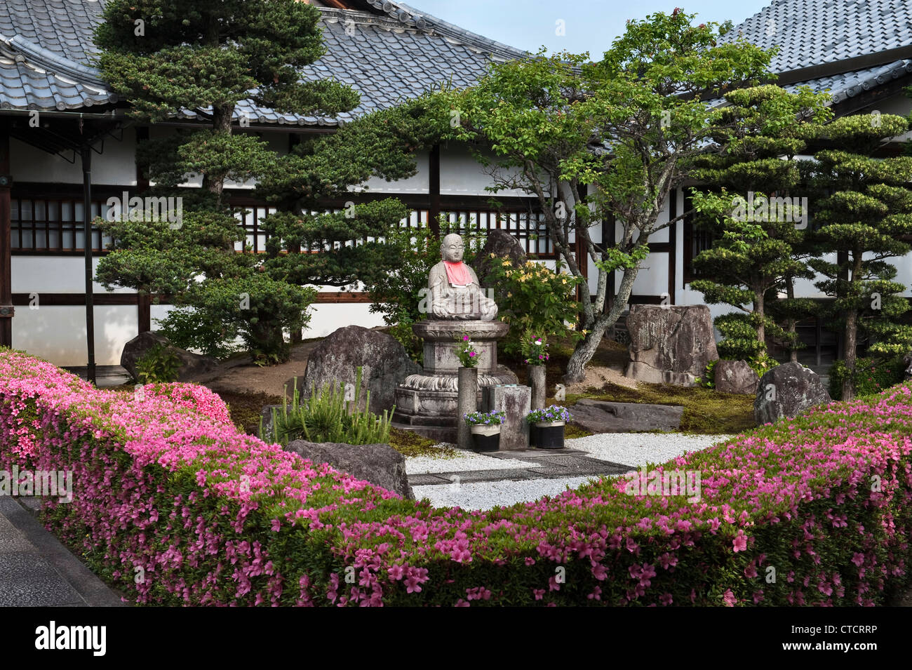 Clipped azalea (tsutsuji) hedges line the entrance to a temple at ...
