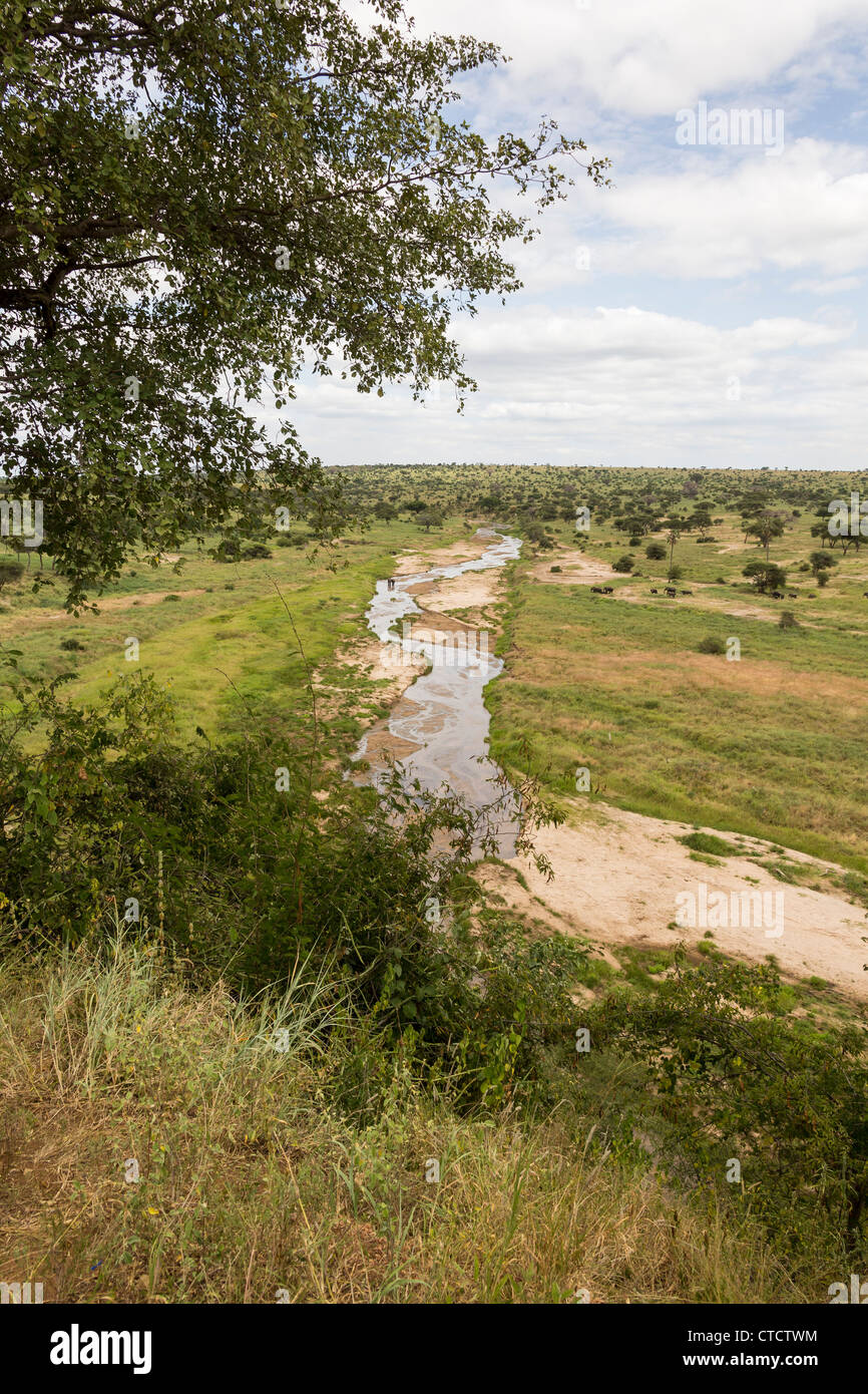 Dried stream bed in Africa Stock Photo - Alamy