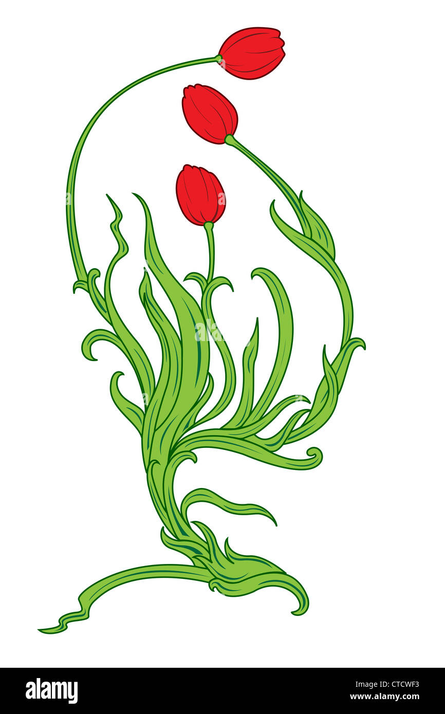 Vector illustration of beautiful single stemmed tulip Stock Photo - Alamy