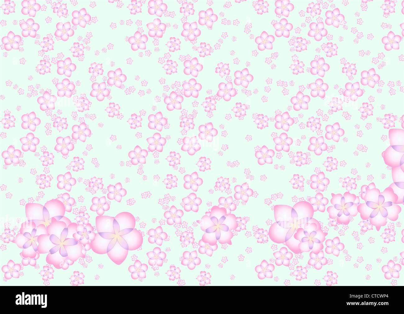 Vector illustration of big, medium and small sakura (cherry blossom ...