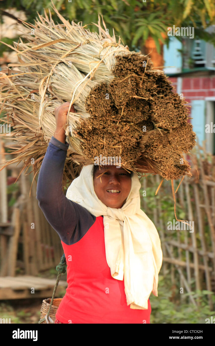 Burmese woman carrying reed on her head, Inle lake, Shan state, Myanmar ...