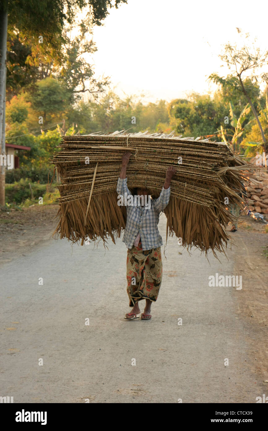 Burmese woman carrying palm tree roofing panels on her head, Inle lake ...