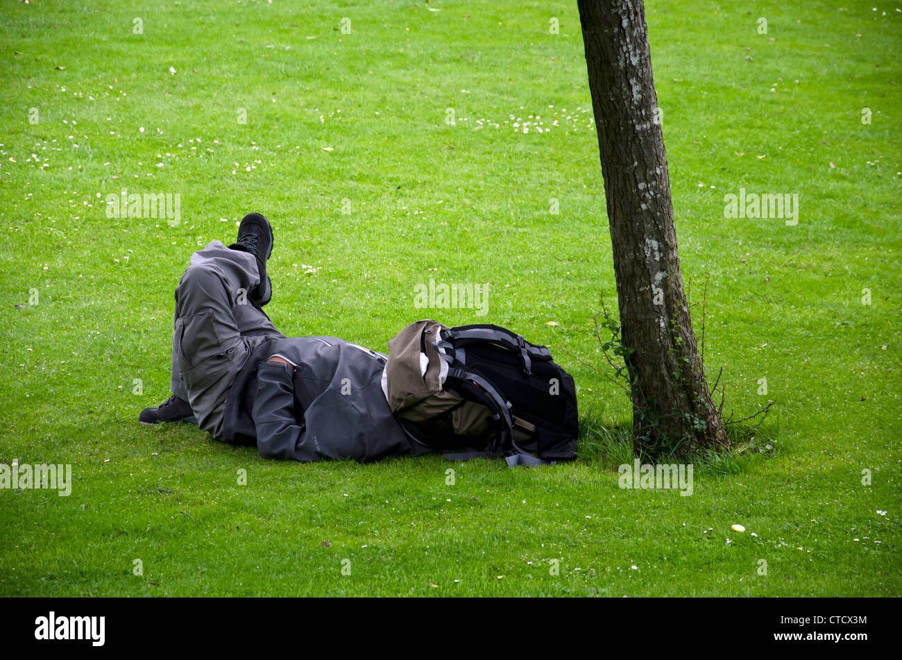 Man sleeping under tree hi-res stock photography and images - Alamy