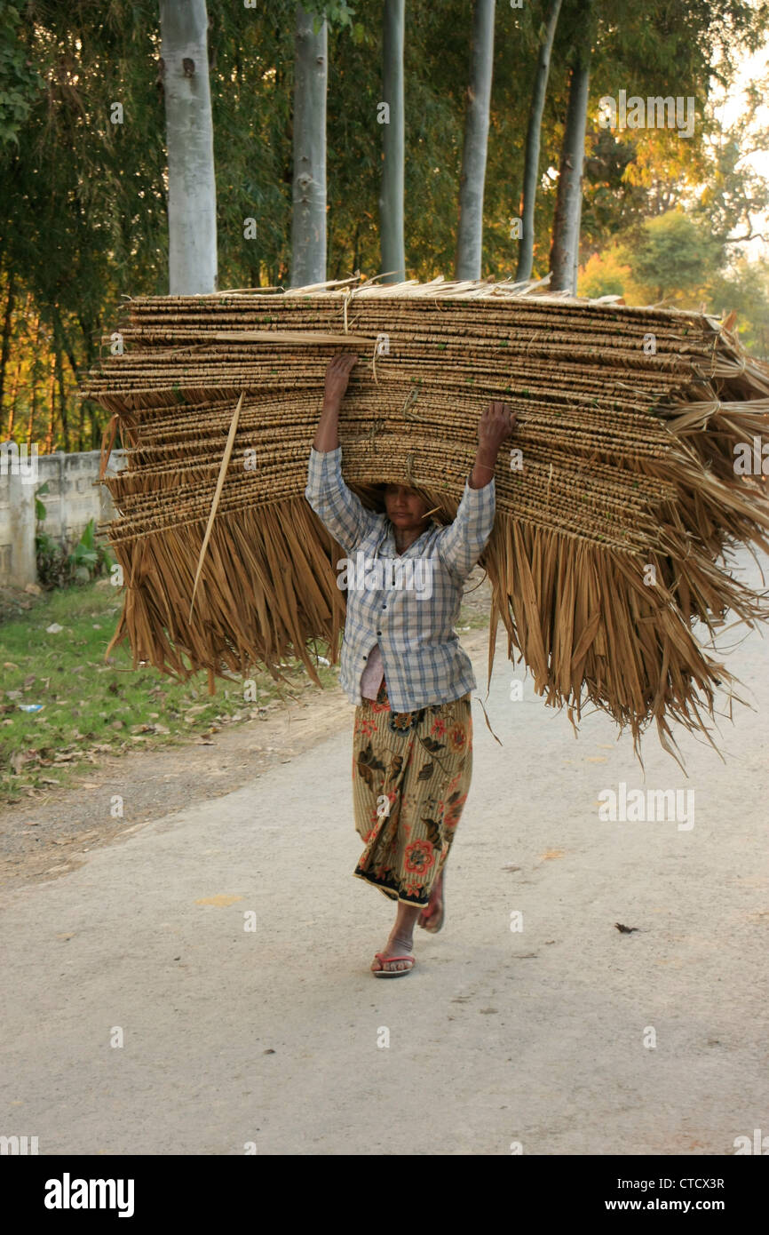 Burmese woman carrying palm tree roofing panels on her head, Inle lake ...