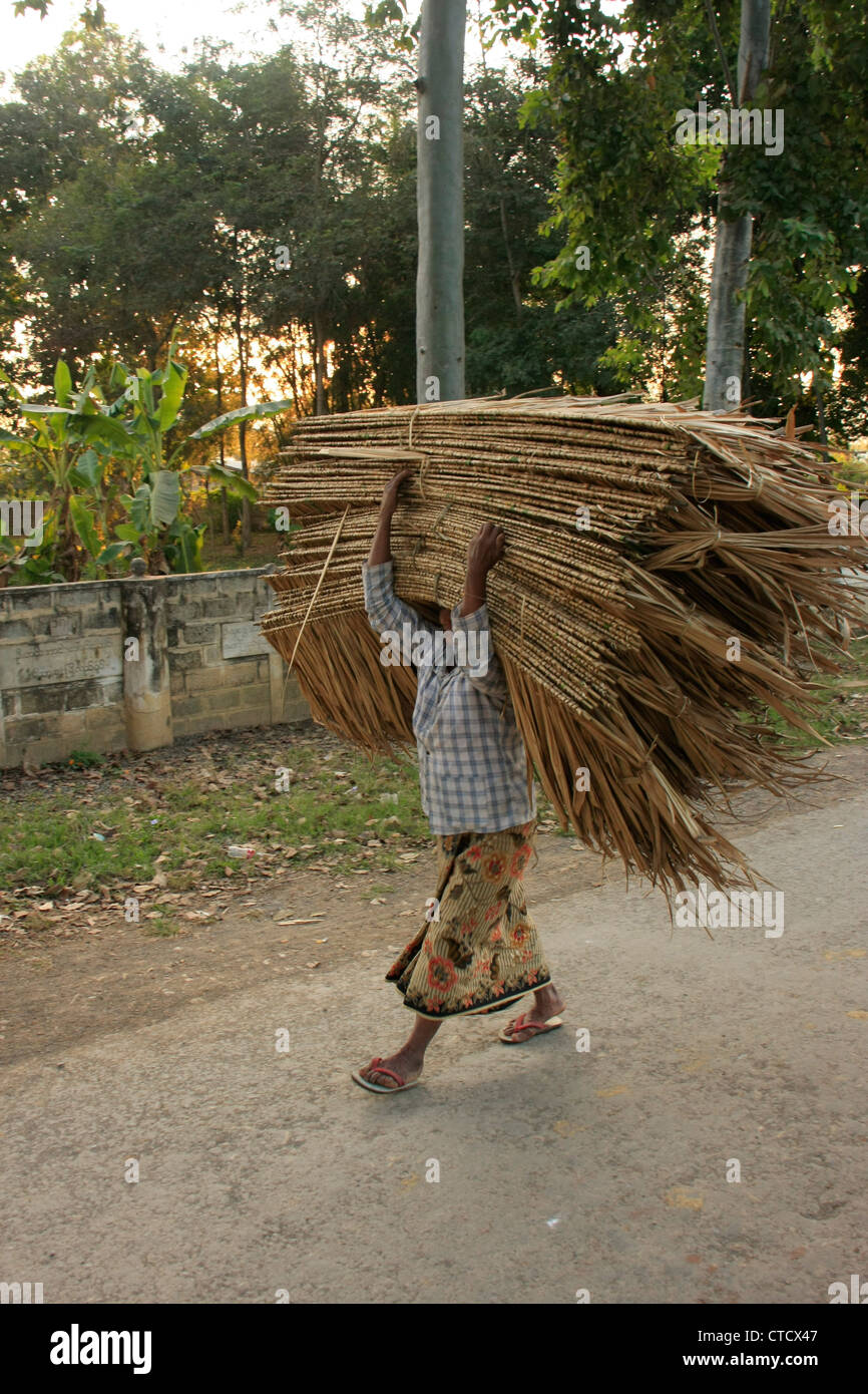 Burmese woman carrying palm tree roofing panels on her head, Inle lake ...