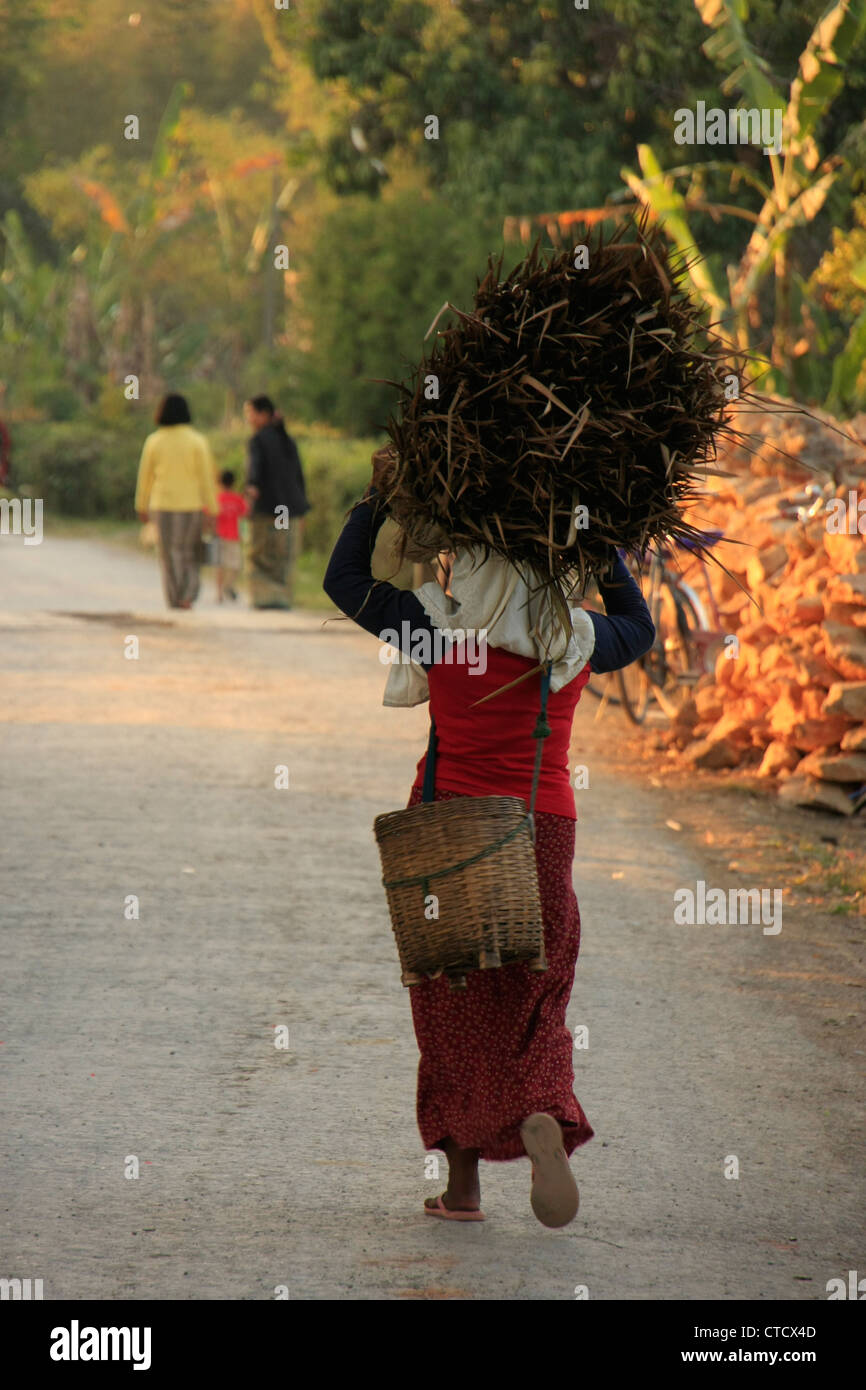 Burmese woman carrying reed on her head, Inle lake, Shan state, Myanmar ...