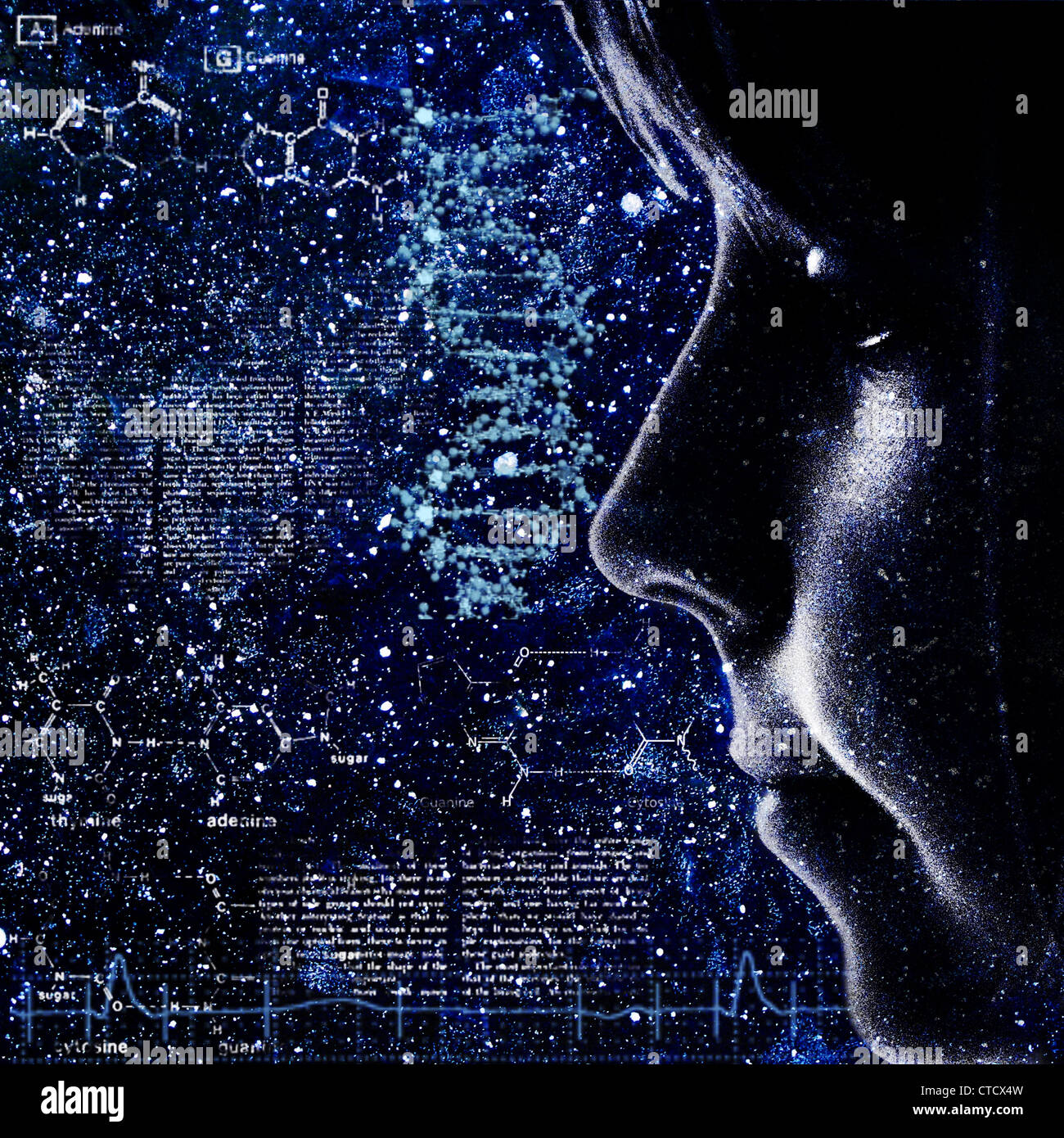 Evolution. Abstract science backrounds with female portrait Stock Photo ...