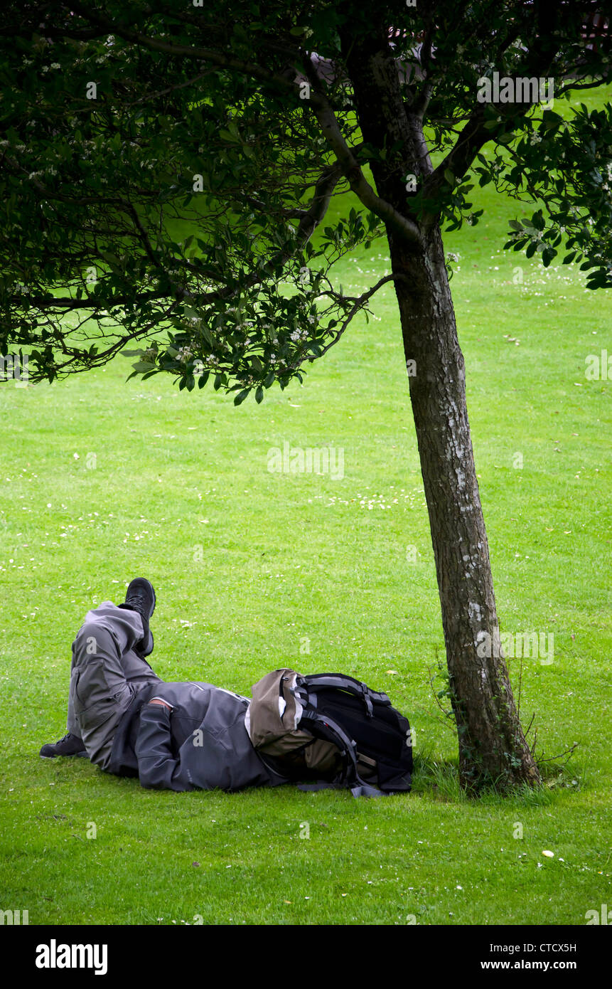 Resting Under A Tree