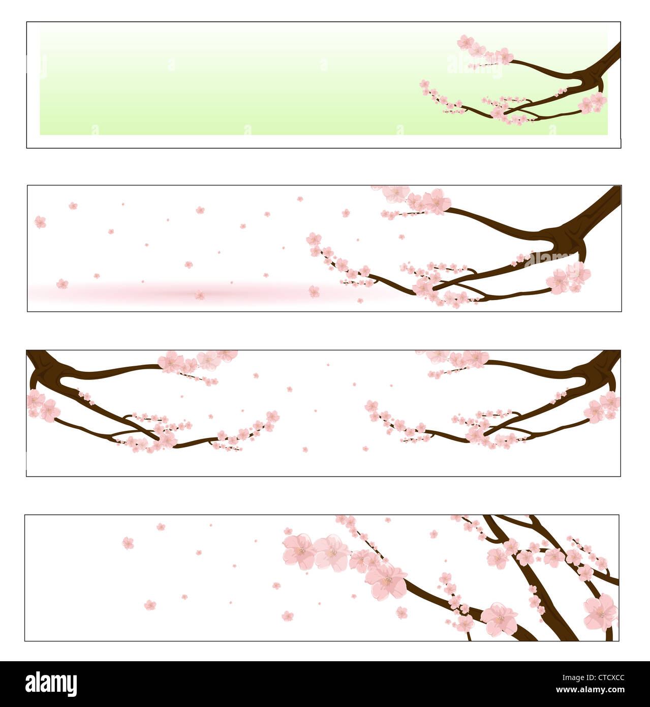 Vector illustration of flowered sakura banners set Stock Photo - Alamy