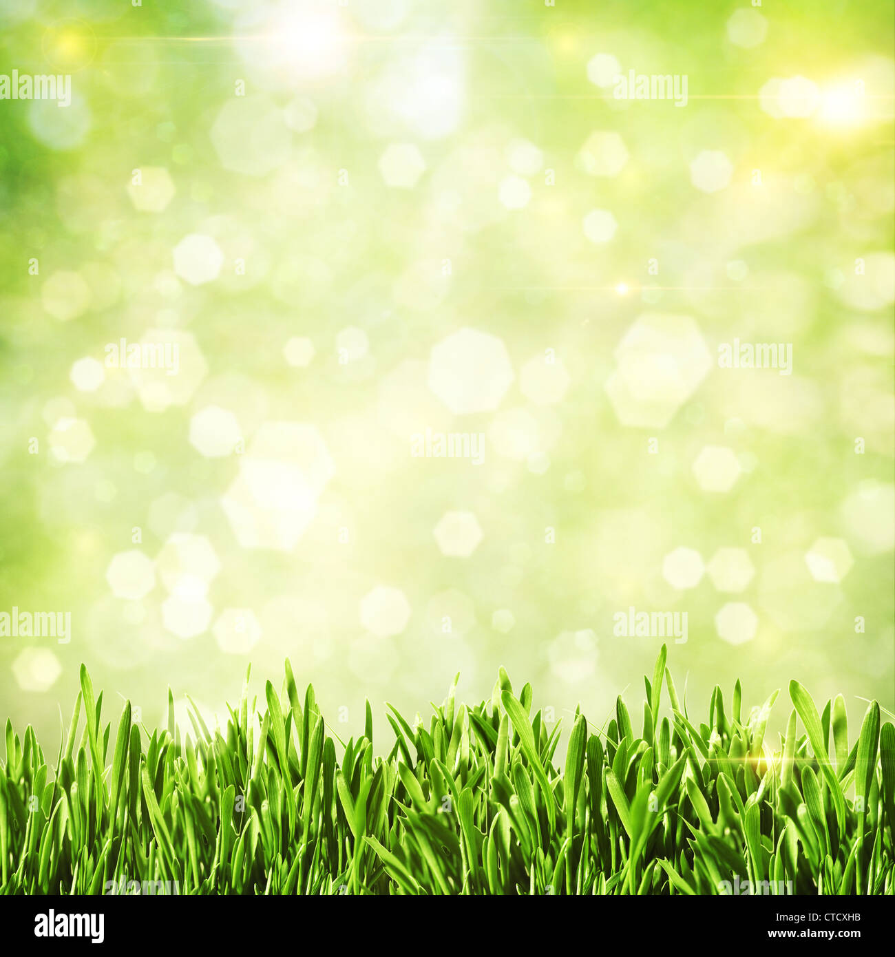 Green grass. Abstract natural backgrounds Stock Photo - Alamy