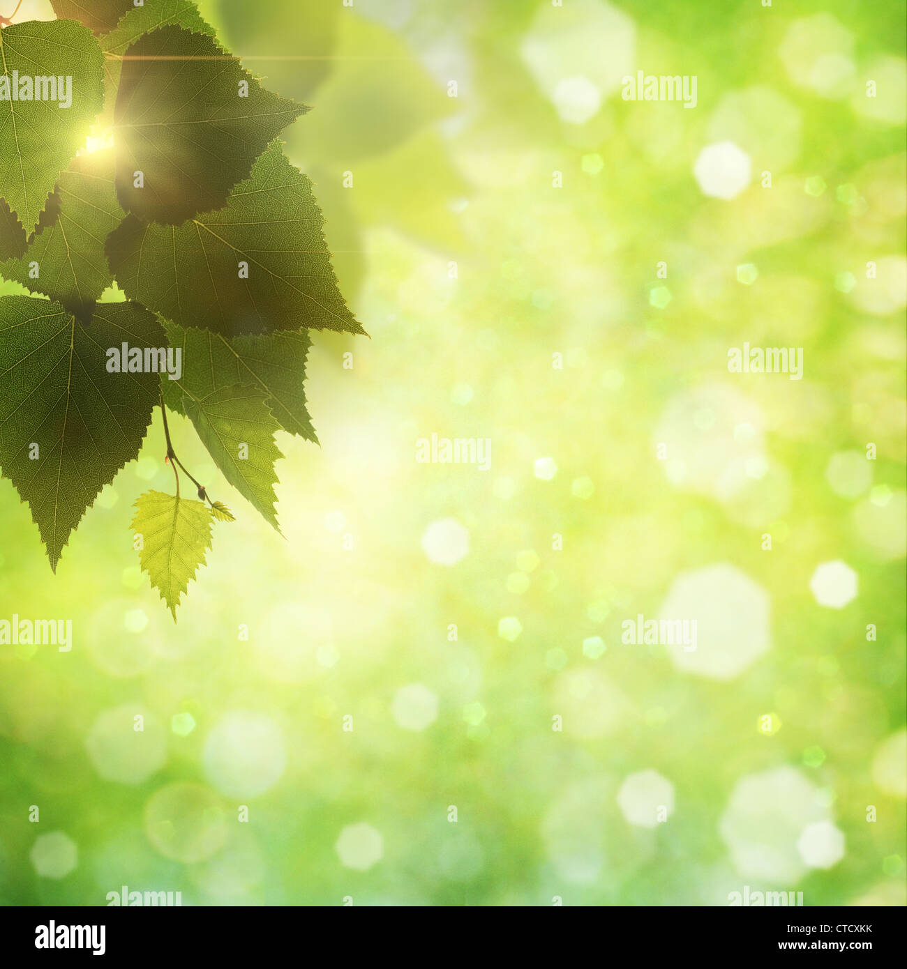 Sweet summer morning. Abstract natural backgrounds Stock Photo - Alamy