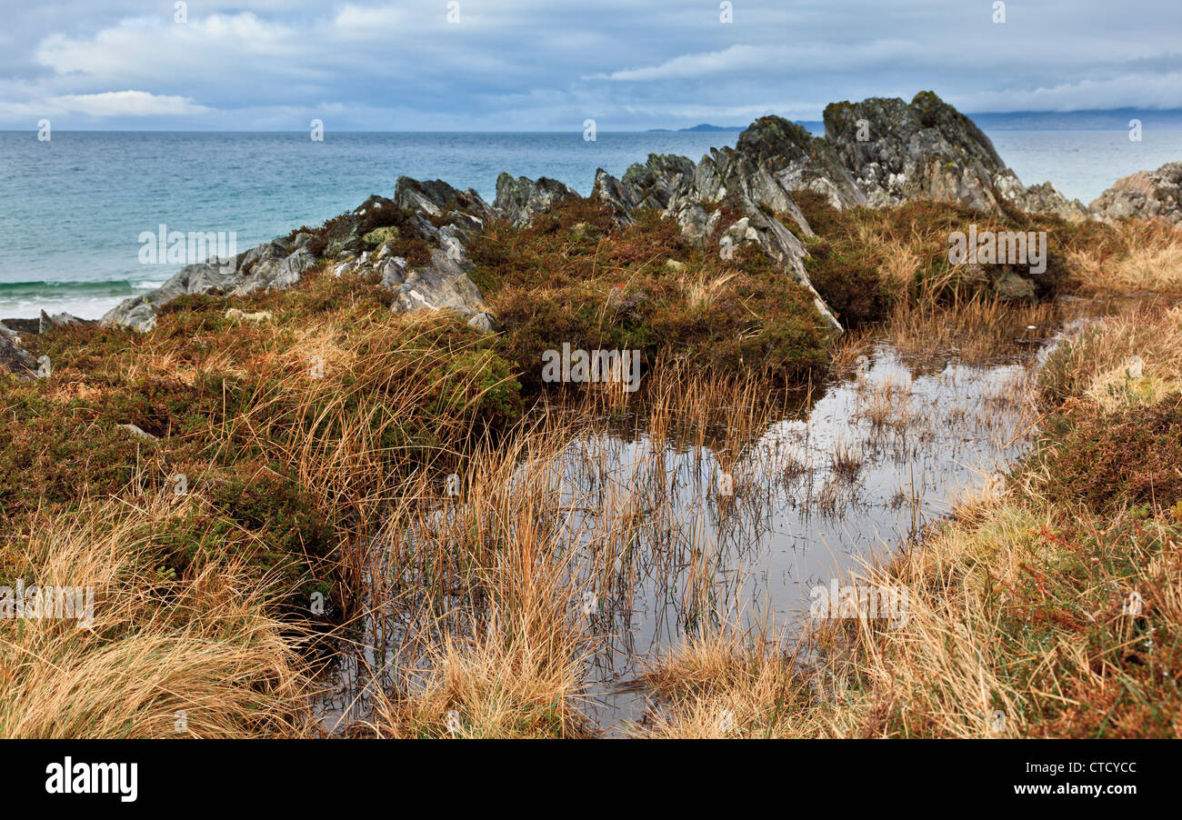 Rubh hi-res stock photography and images - Alamy