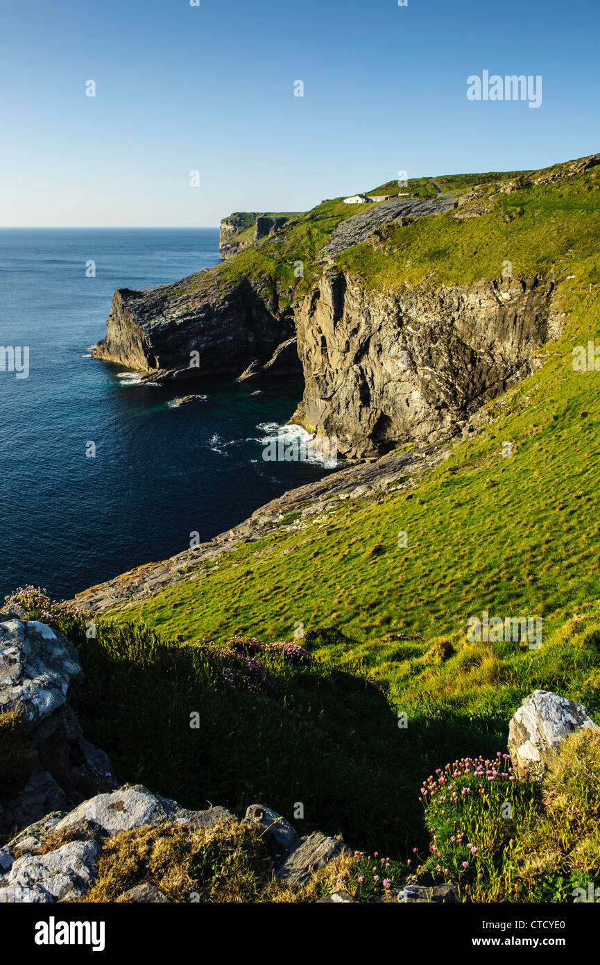 Penhallic point cornwall coast hi-res stock photography and images - Alamy