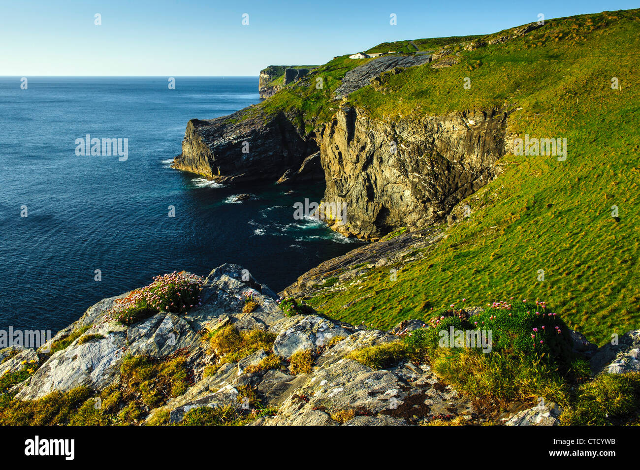 Penhallic point cornwall coast hi-res stock photography and images - Alamy