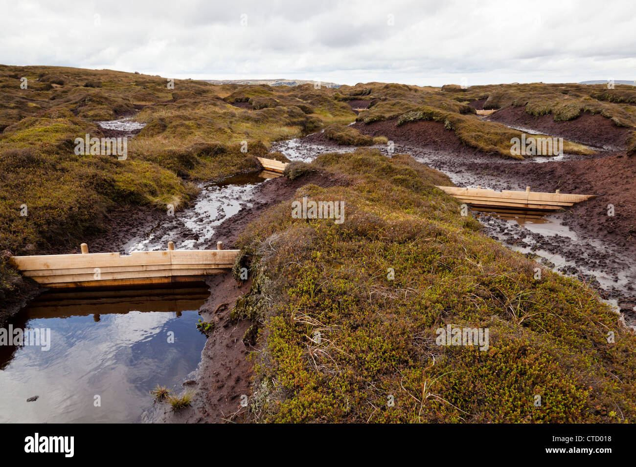Bog conservation restoration hi-res stock photography and images - Alamy