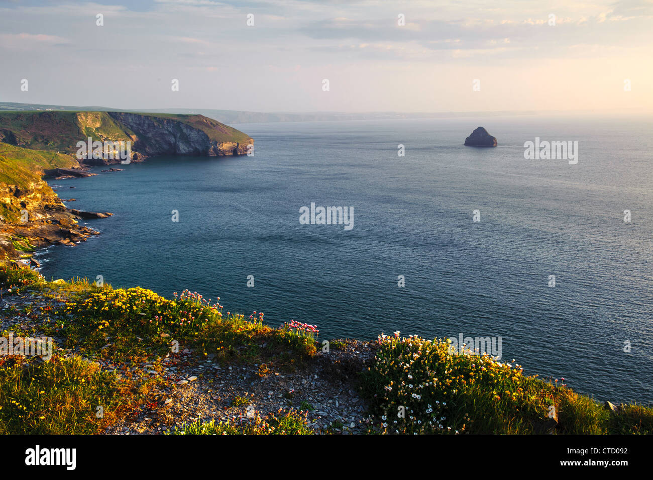 Evening light North Cornwall Coast England, showing Gull Rock ...