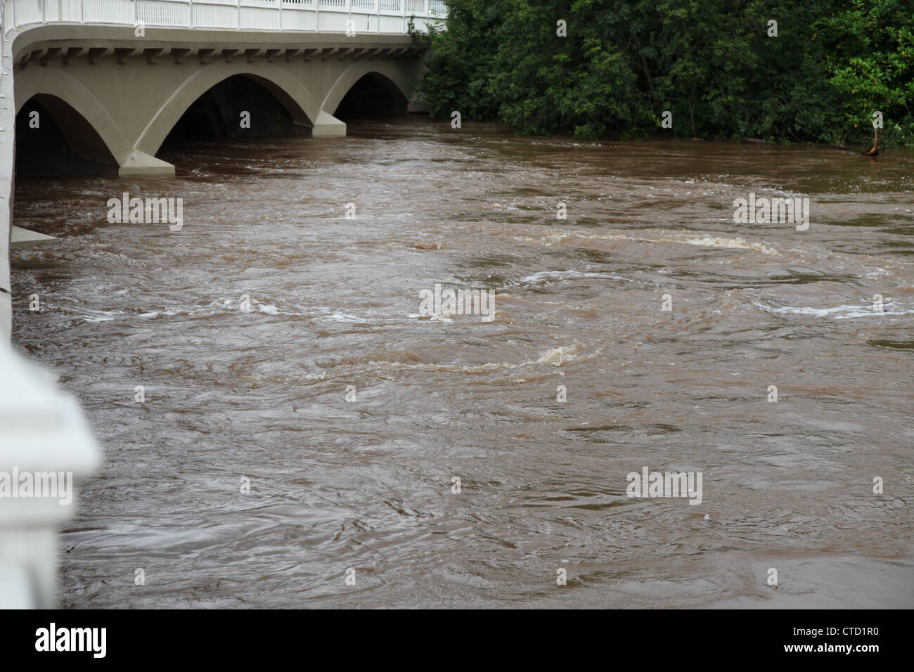 River Teme in flood Stock Photo - Alamy