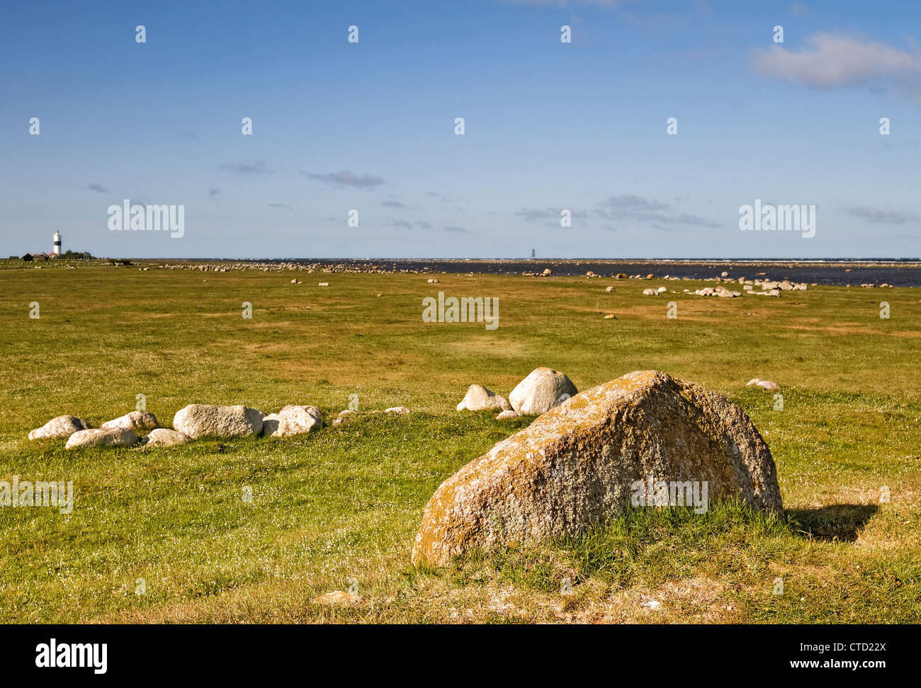 Coastline with stone and grass in a sunny day at Oland island in Sweden ...