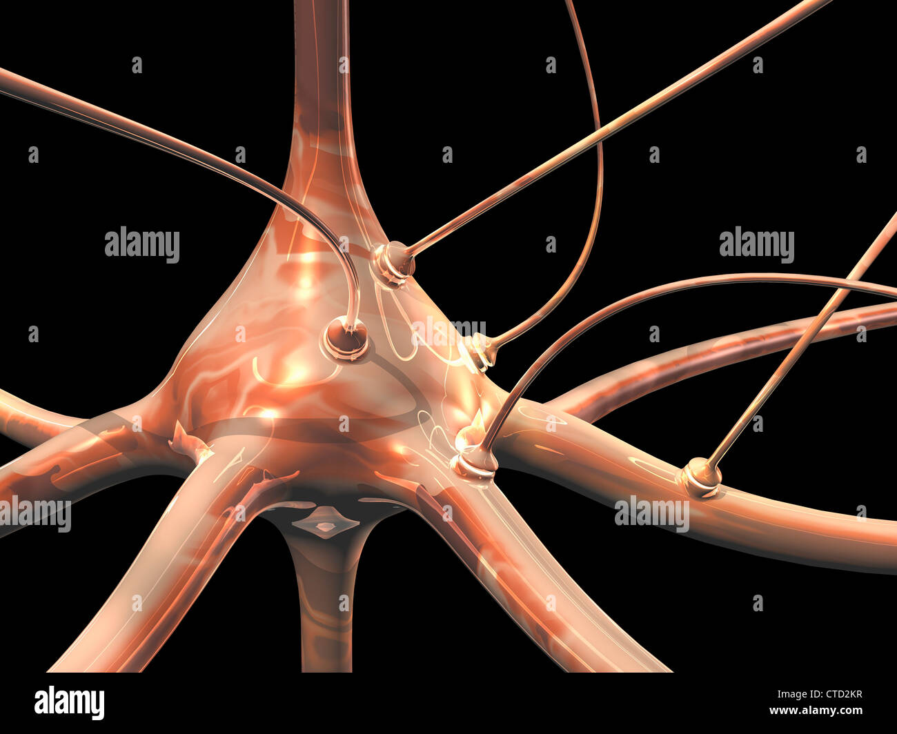 Neuron and synapses artwork Stock Photo - Alamy