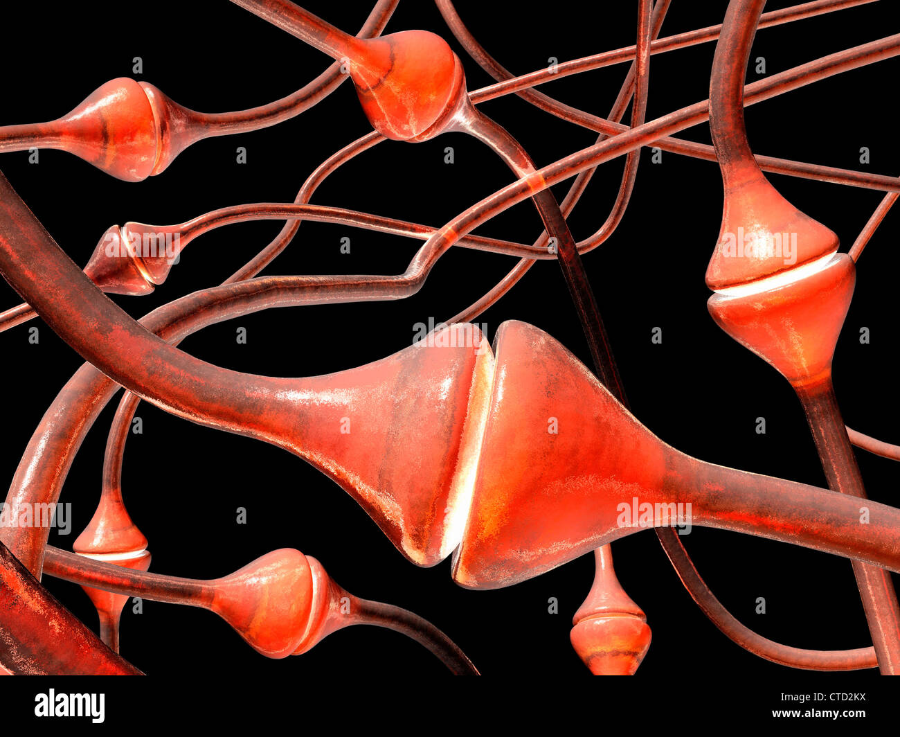 Synapses drawing hi-res stock photography and images - Alamy