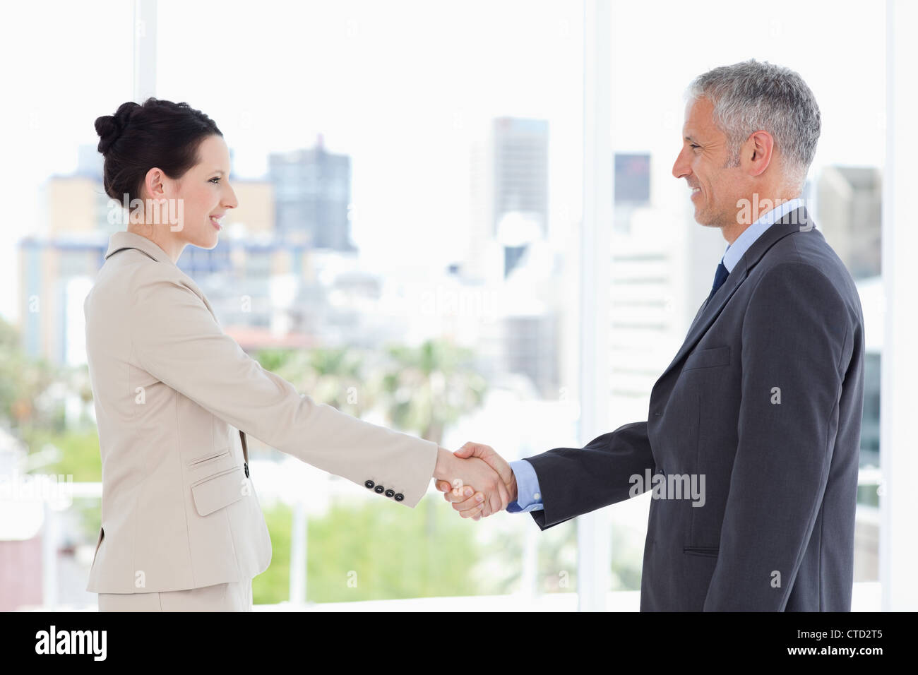 A director and his secretary shaking hands while smiling Stock Photo ...