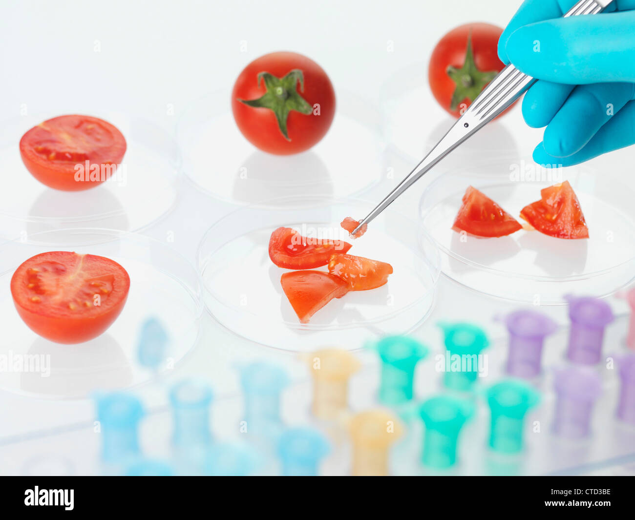 Food research conceptual image Stock Photo - Alamy