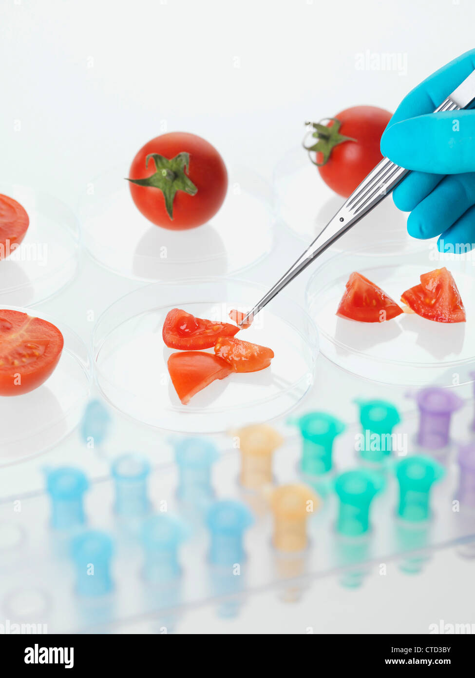 Food research conceptual image Stock Photo - Alamy