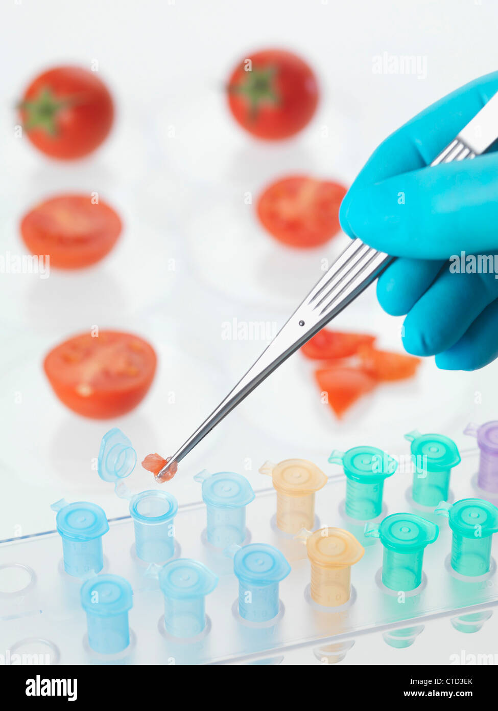 Food research conceptual image Stock Photo - Alamy