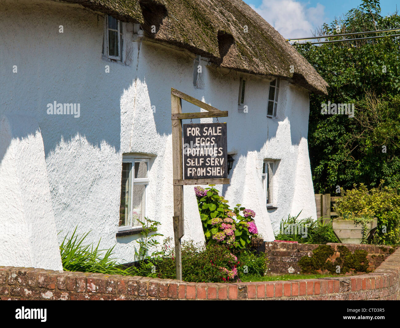 Thatched white washed farm house in Devon with sign saying for sale ...