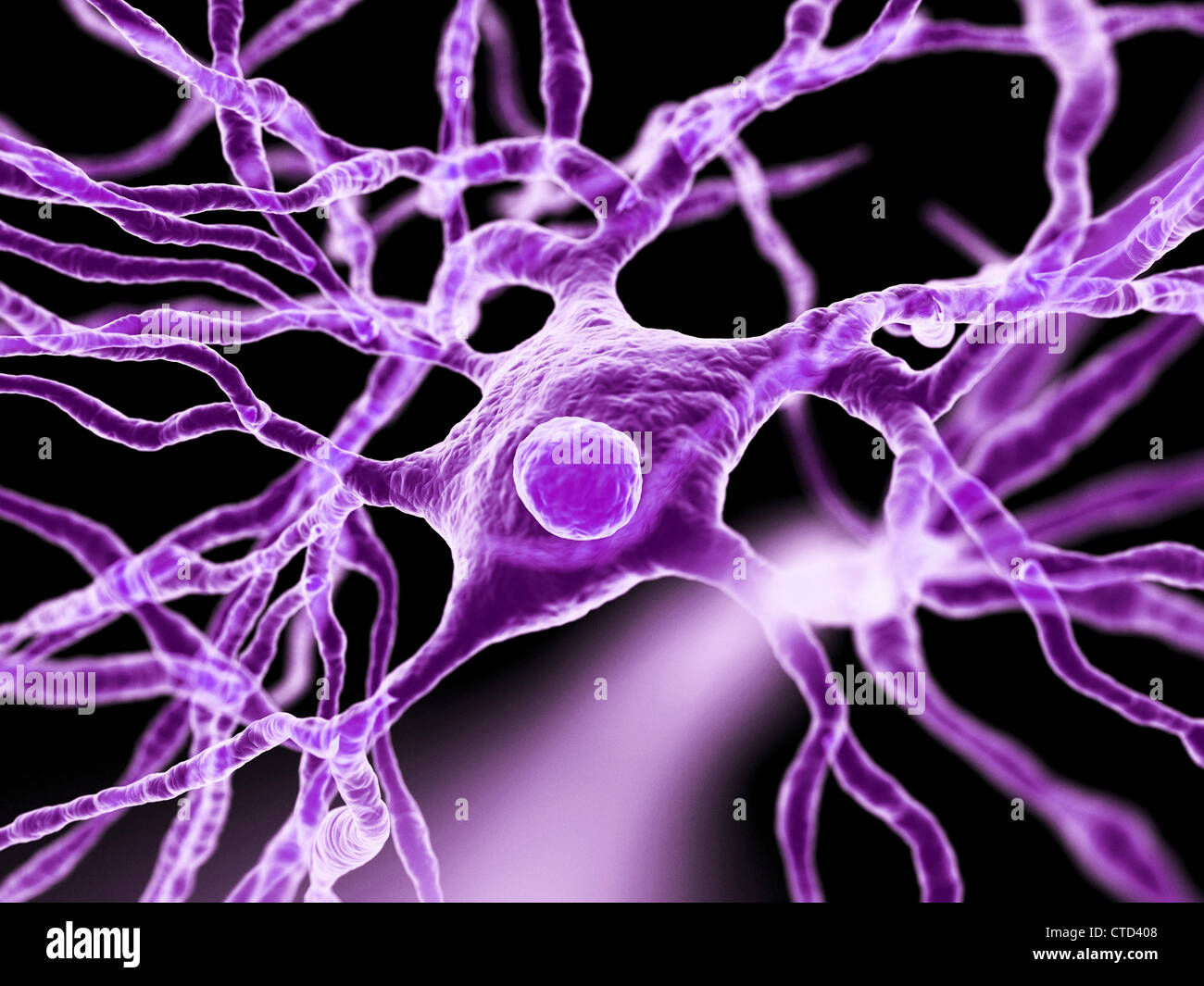 Nerve cells artwork Stock Photo - Alamy