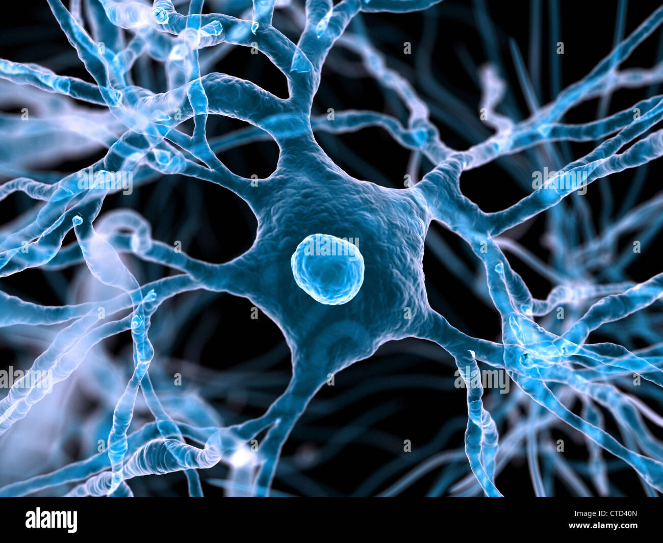 Nerve Cell Artwork Science High Resolution Stock Photography and Images ...