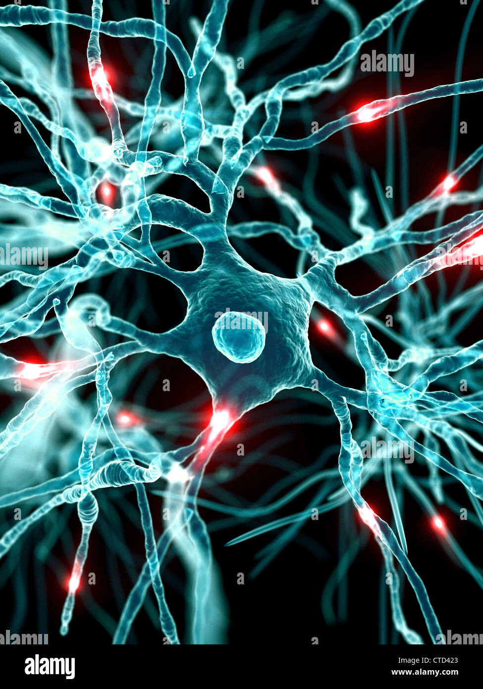 Nerve cells artwork Stock Photo - Alamy