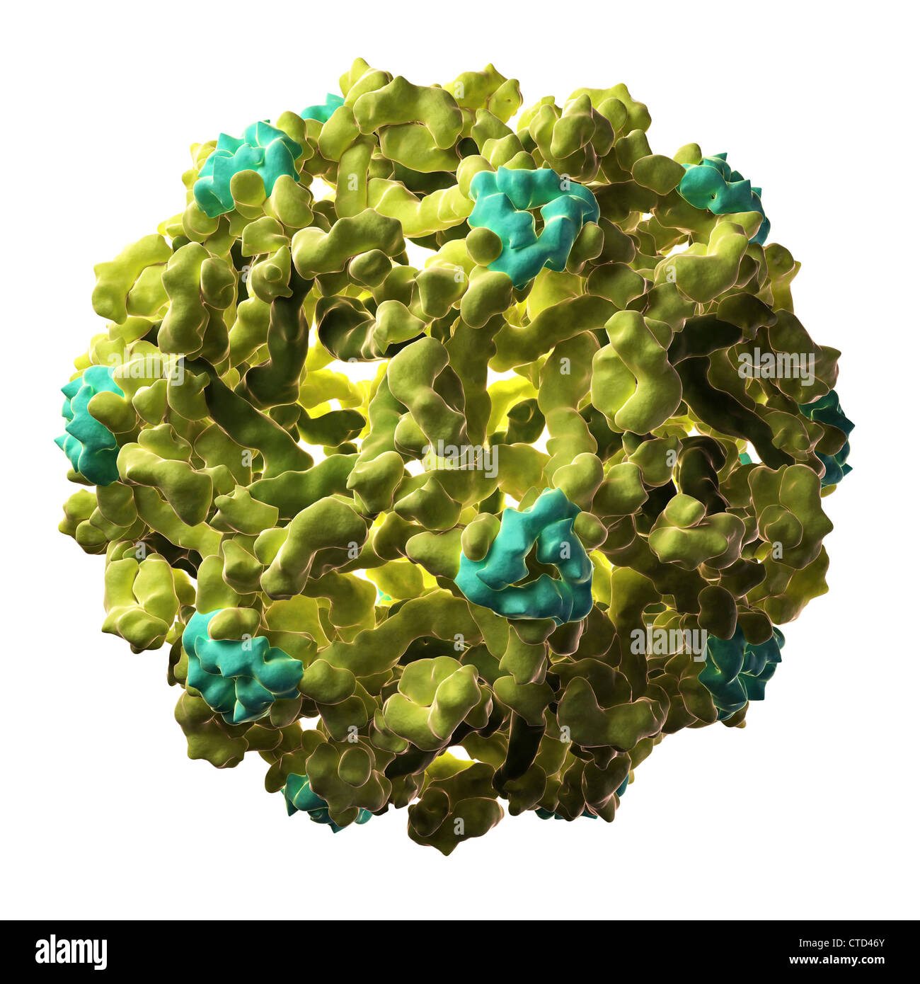 West Nile virus particle Stock Photo - Alamy