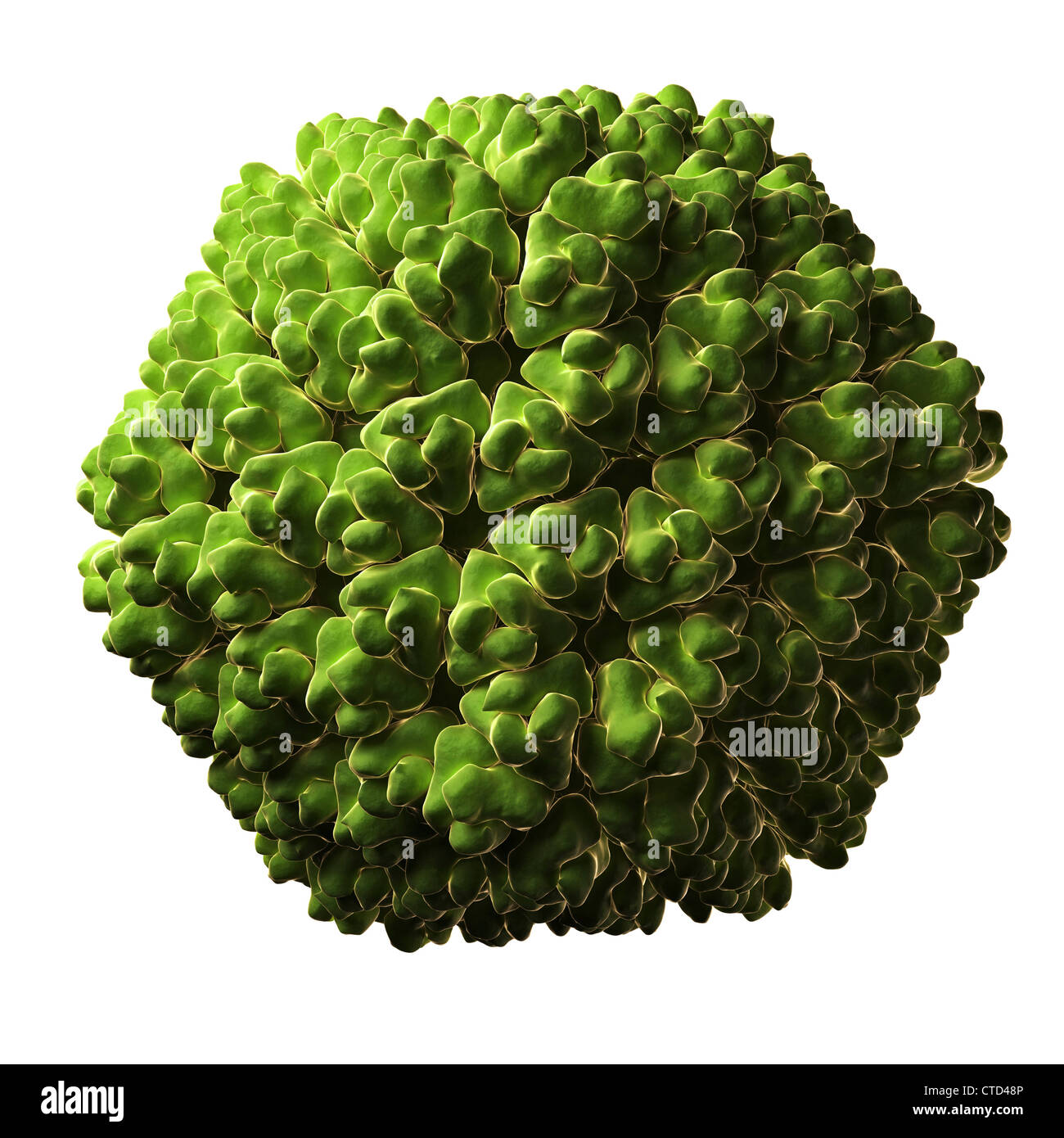 Dwarf forms Cut Out Stock Images & Pictures - Alamy