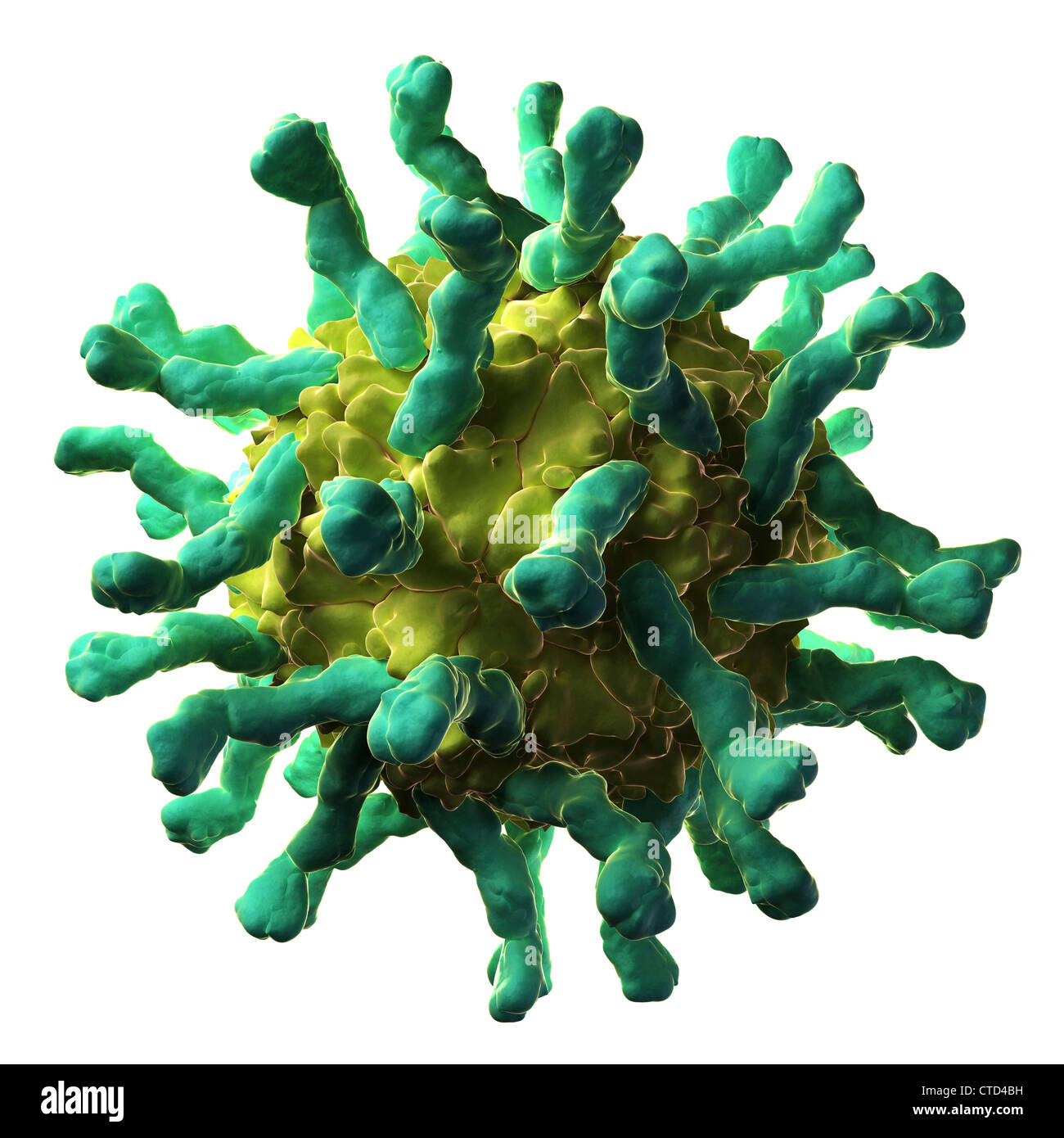 Human Poliovirus High Resolution Stock Photography and Images - Alamy