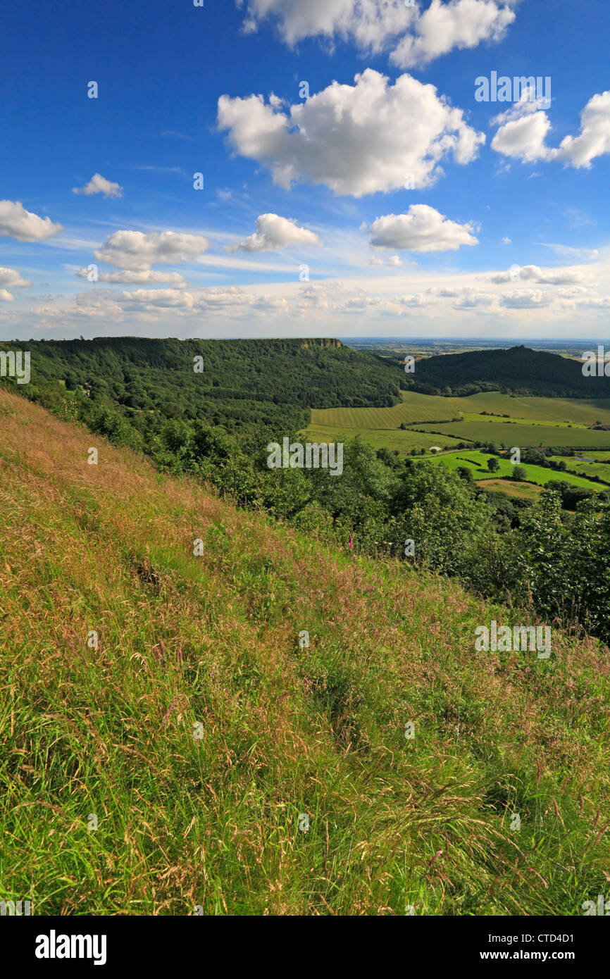 Roulston Scar and Hood Hill from Sutton Bank on the Cleveland Way near ...
