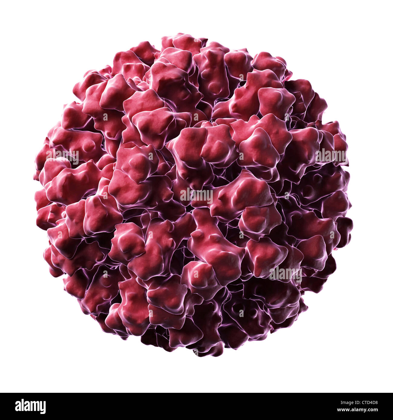 Norovirus particles Cut Out Stock Images & Pictures - Alamy