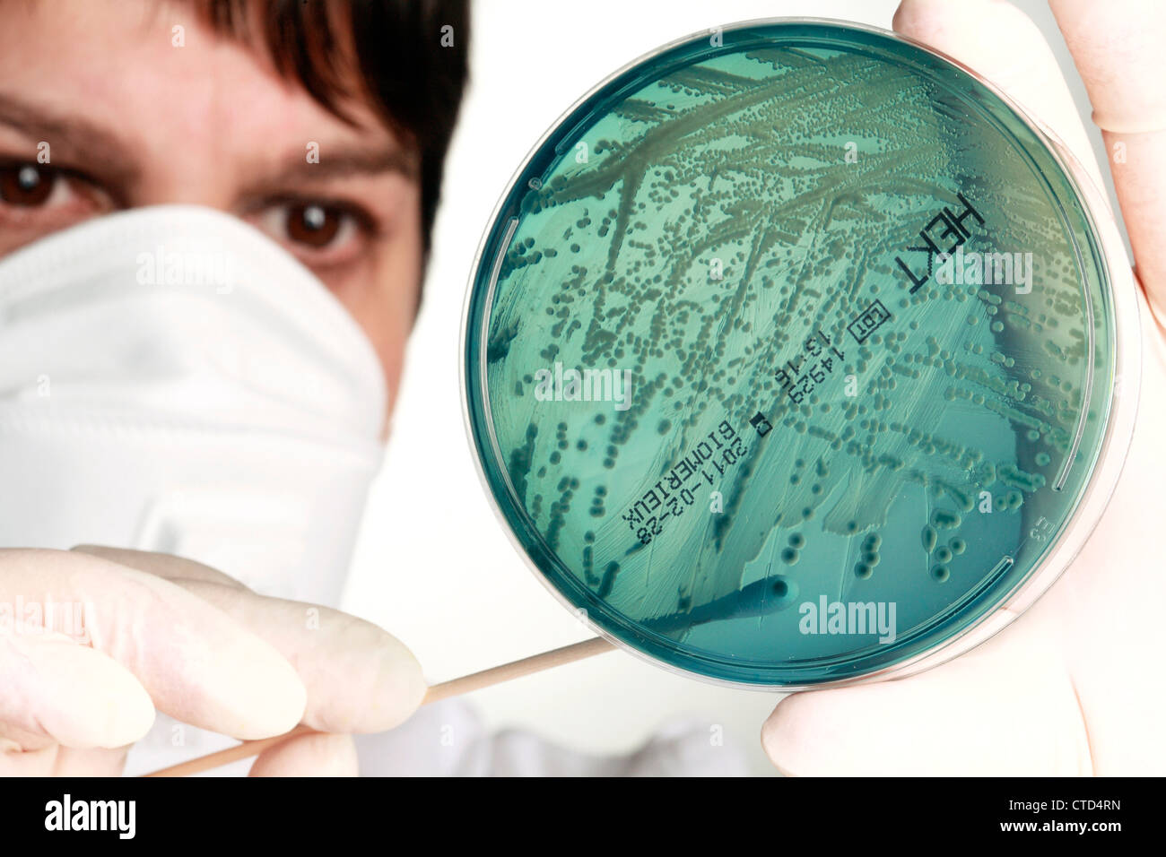 Microbiology research Stock Photo - Alamy