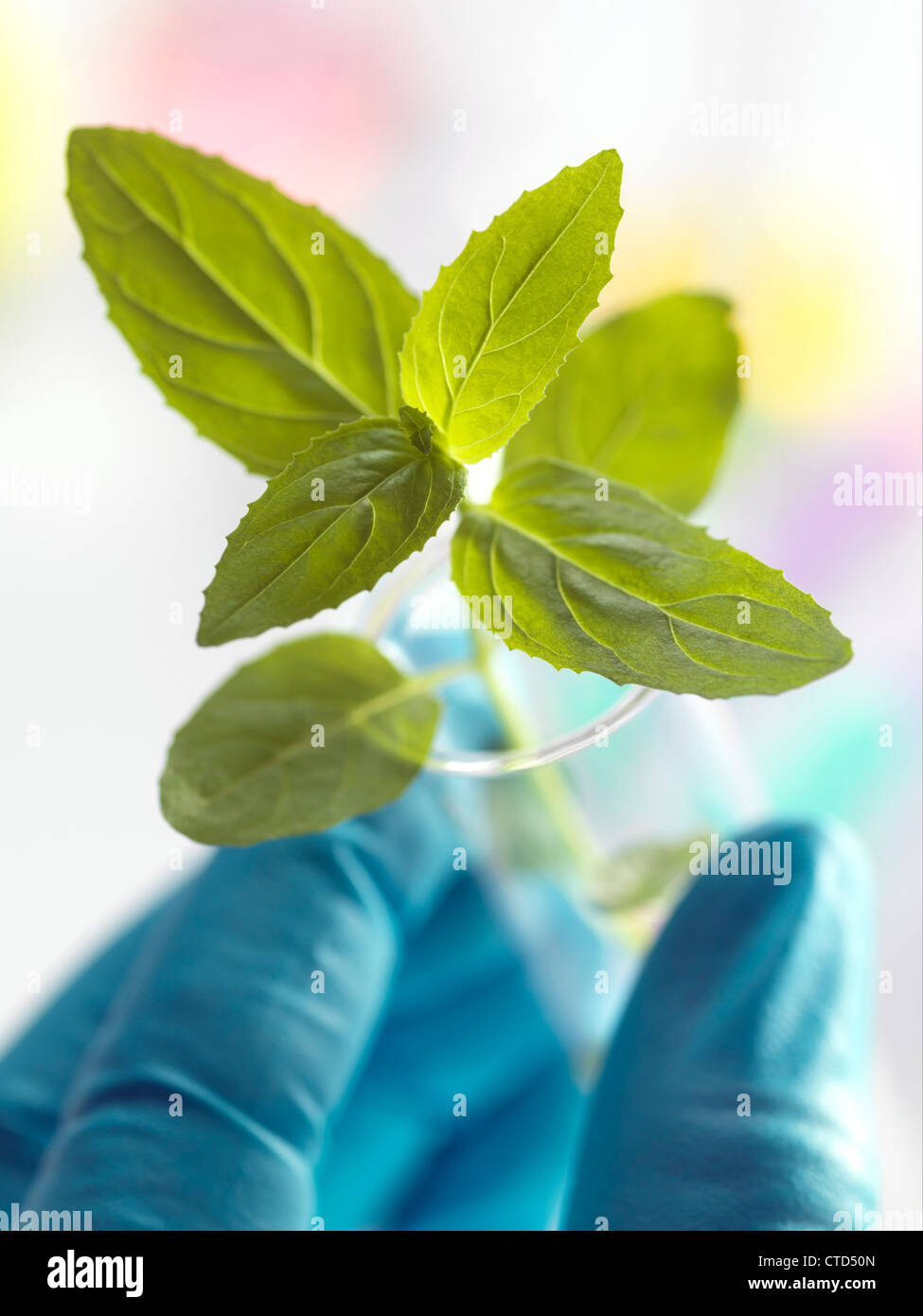 Plant research conceptual image Stock Photo - Alamy
