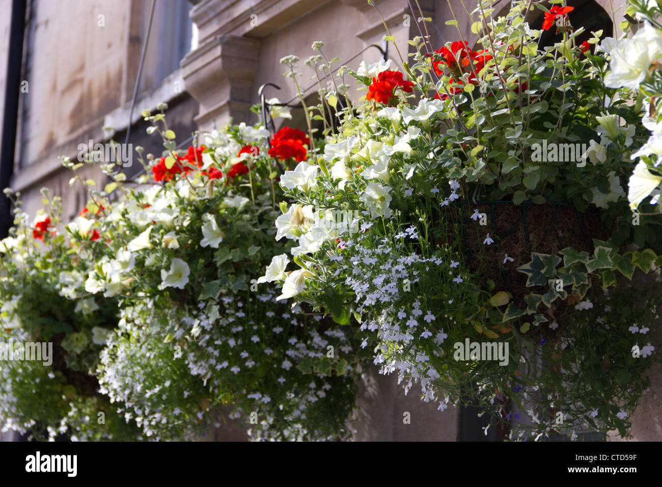 Hanging baskets hi-res stock photography and images - Alamy