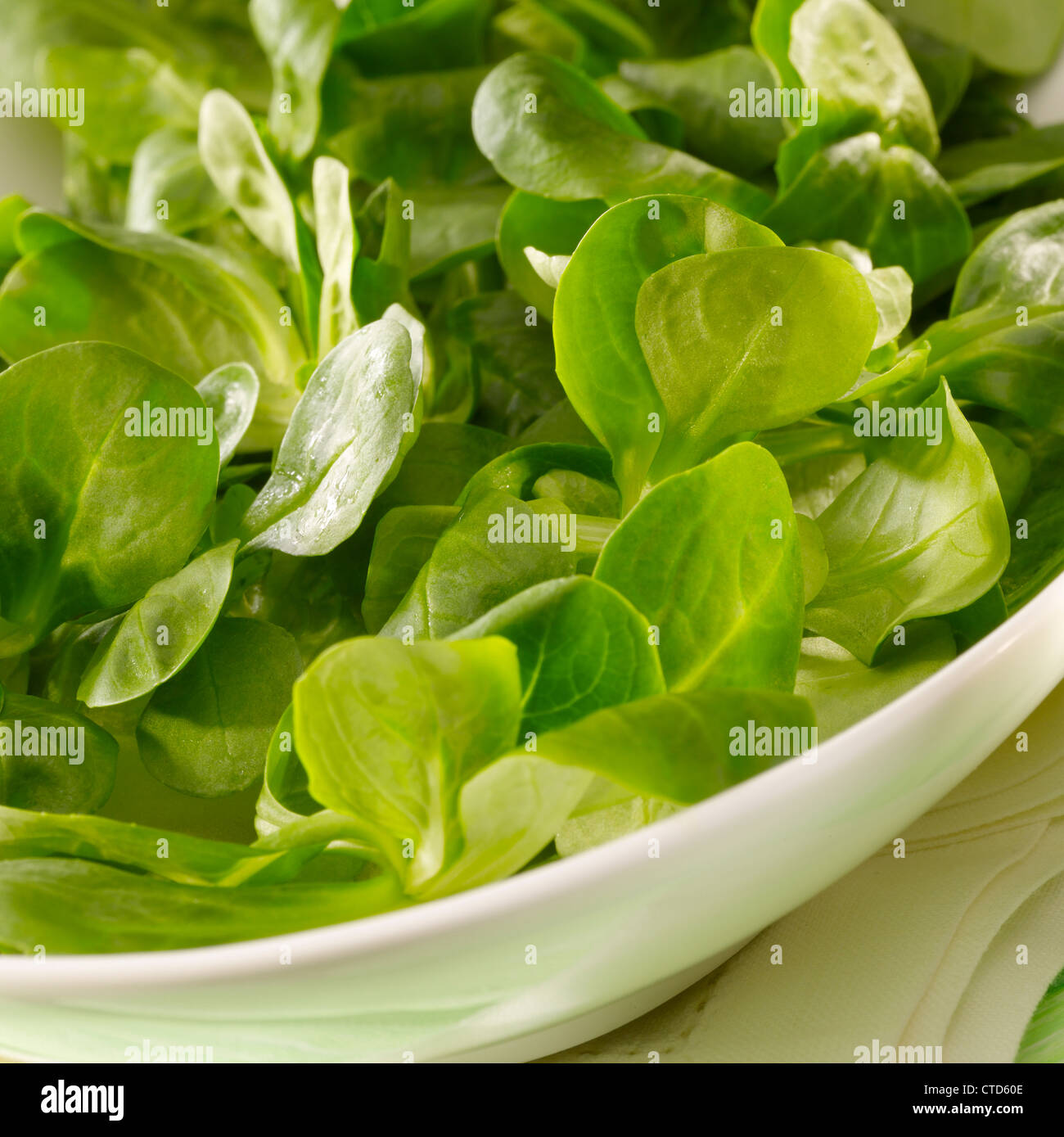 The base of a nice green salad Stock Photo - Alamy