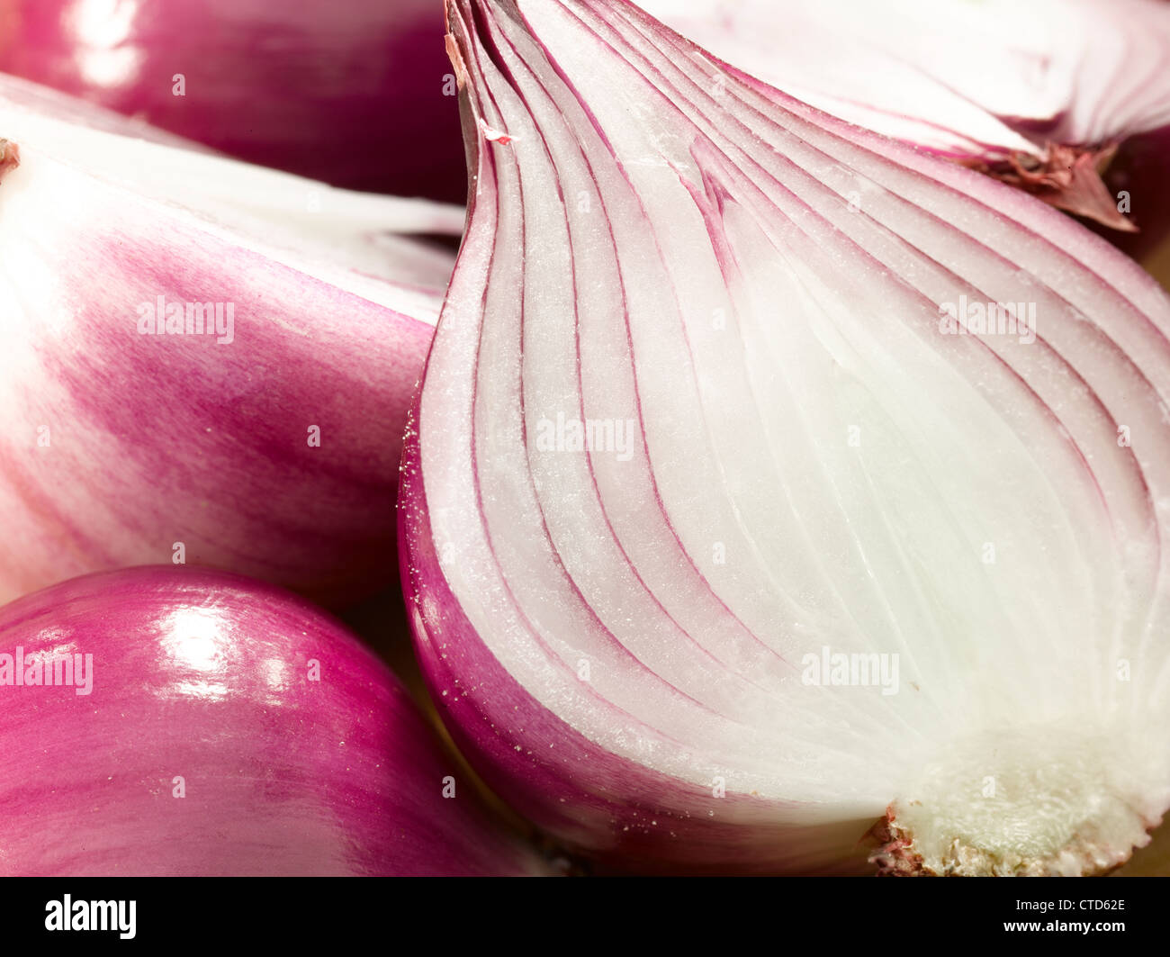 Chopping red onion close up hi-res stock photography and images - Alamy