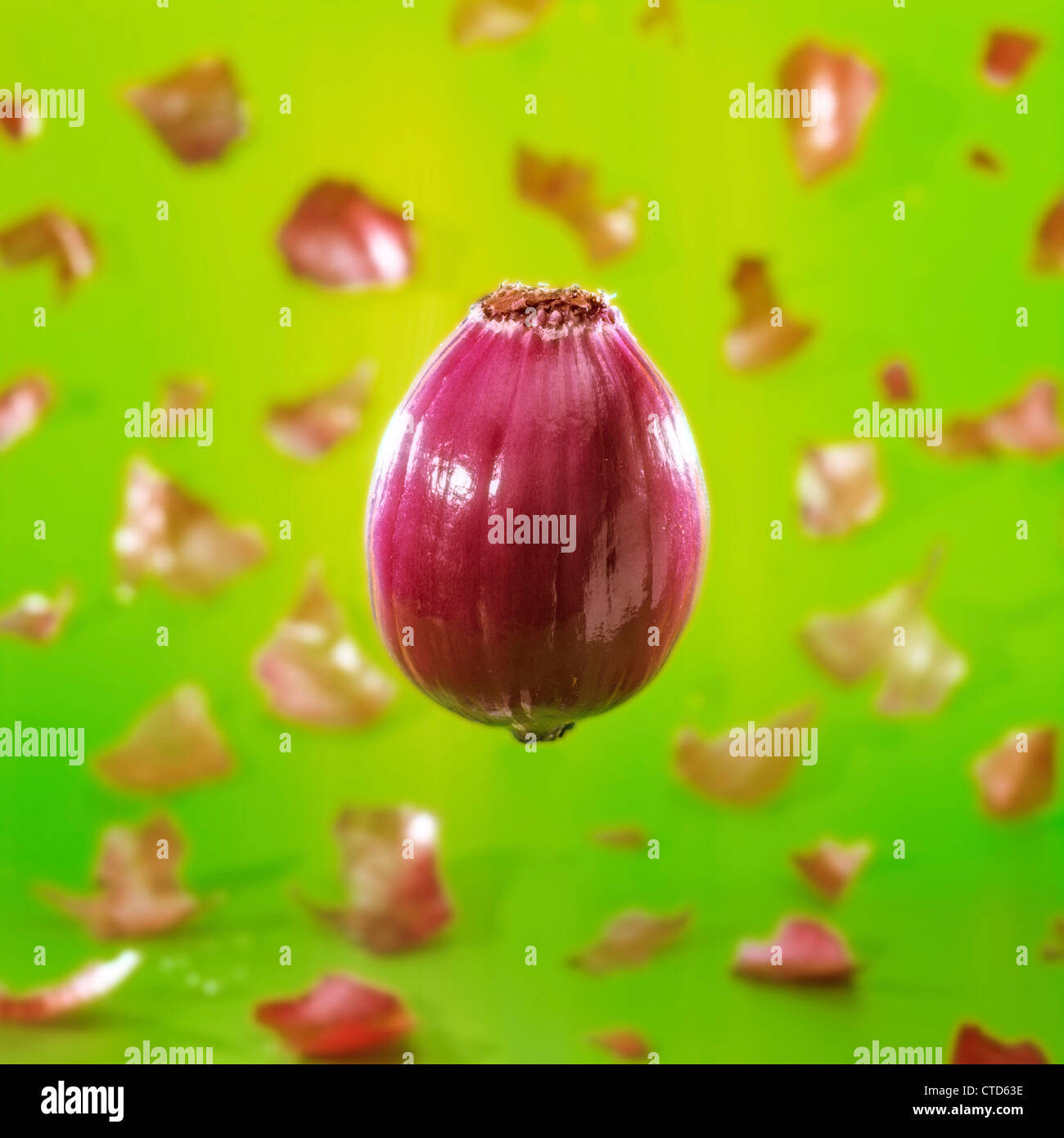 A peeled red onion surrounded by his peel on a green background Stock ...