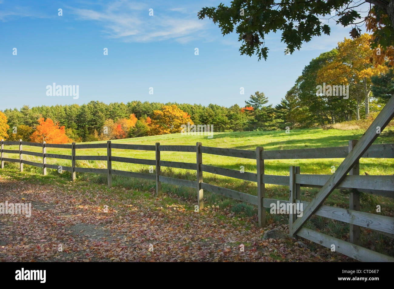 Rustic fence surrounding autumn farm pasture in Maine Stock Photo - Alamy