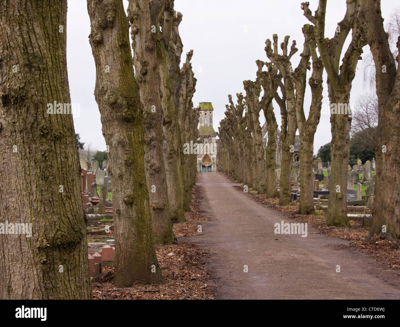 Tree trunk grave headstone hi-res stock photography and images - Alamy