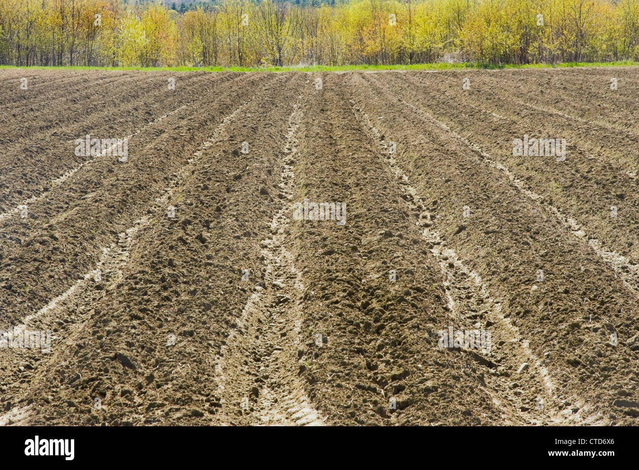 Plowed farm field ready for spring planting in Maine Stock Photo - Alamy